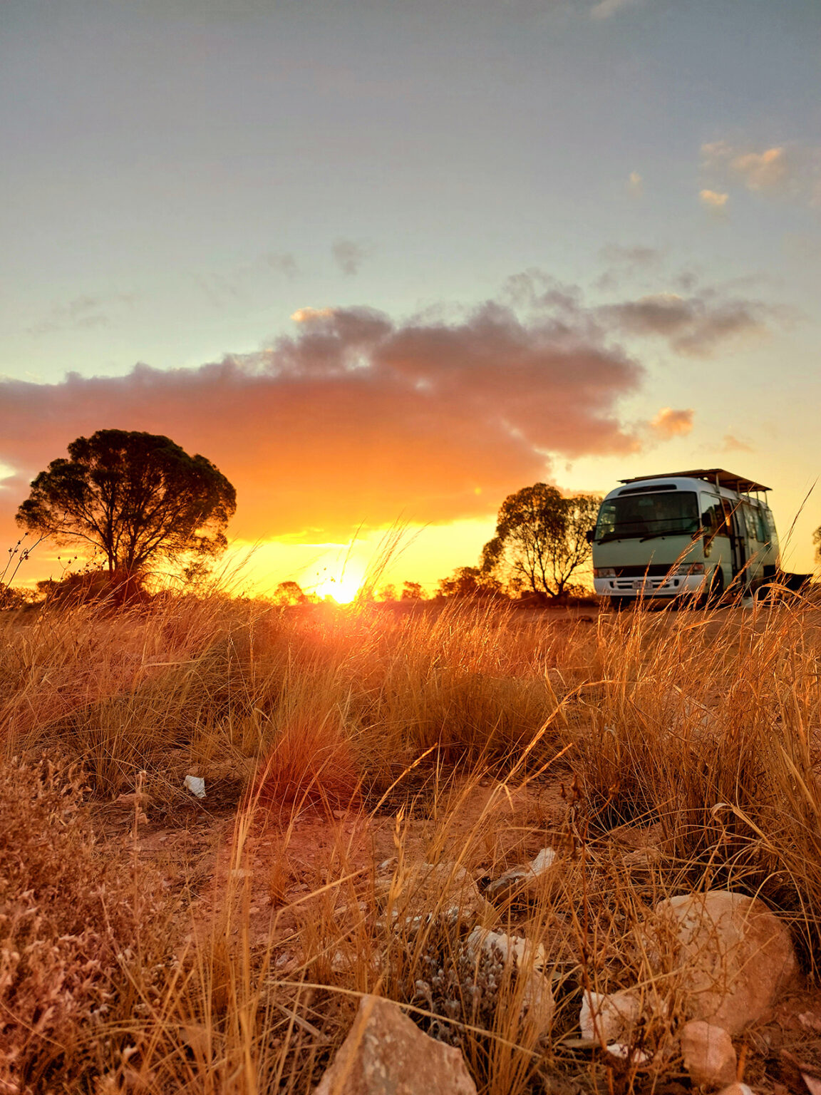 Toyota Coaster Bus Conversion by @hello_mr_pemberton